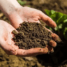 What is Leonardite? - GrinBio – 100% Natural Biofertilizers for a ...